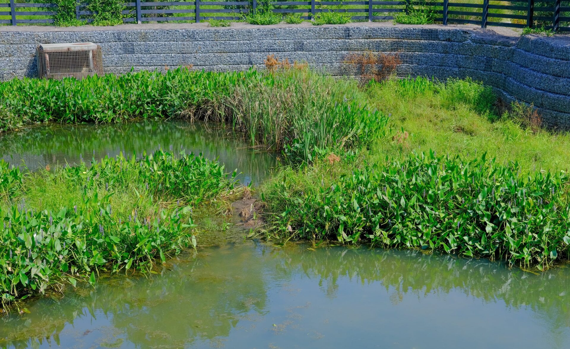 Pond Management Services | Stormwater Services | AQUALIS