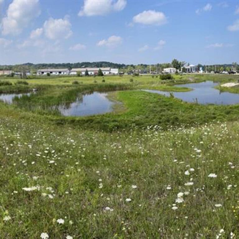 MS4 Municipal Permit Compliance - AQUALIS