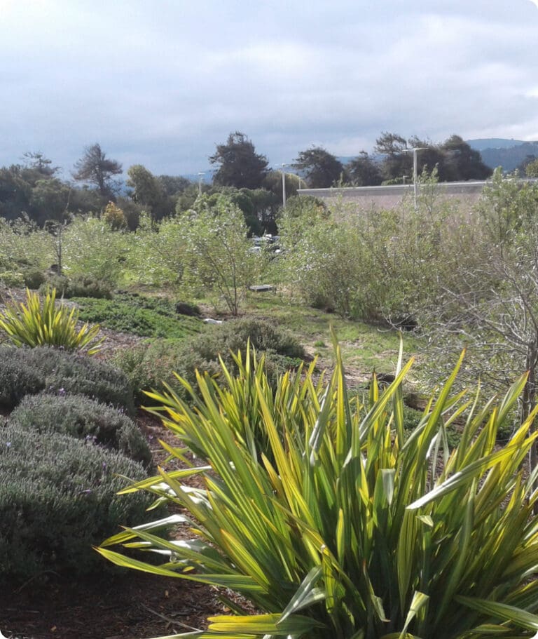 Sustainable Water Management Company | AQUALIS