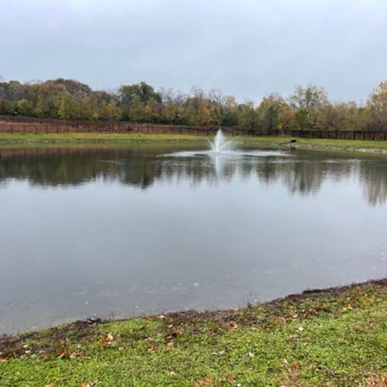 Retention Pond Maintenance | AQUALIS